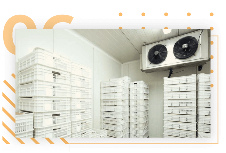 Storage Services | Temperature-Controlled Storage Units